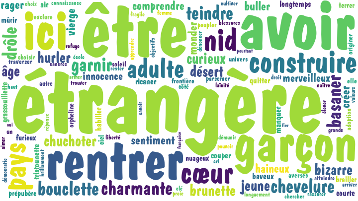 Poème Racisme: L’étrangère (188751)
